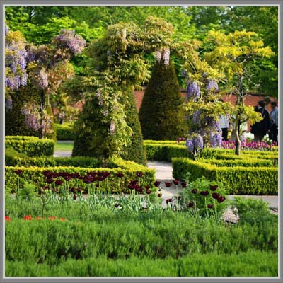 Desain Taman Bergaya Eropa - Edupaint